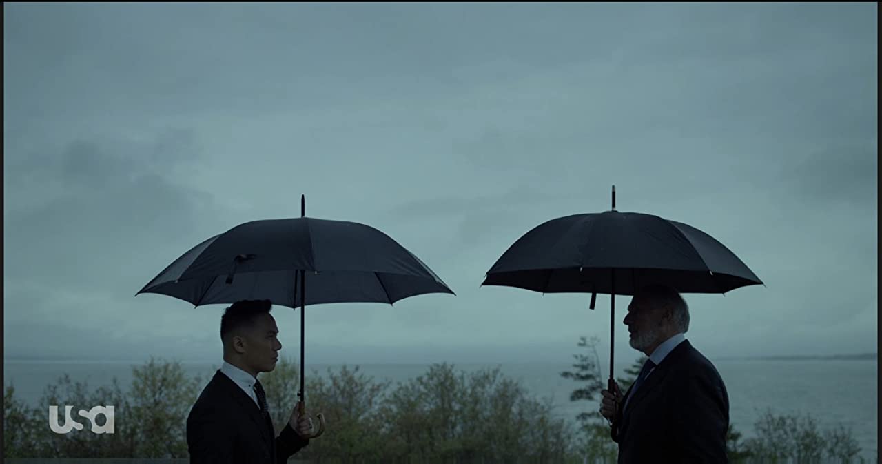 Whiterose-and-Price-Mr.-Robot-series – Simetria FC&F